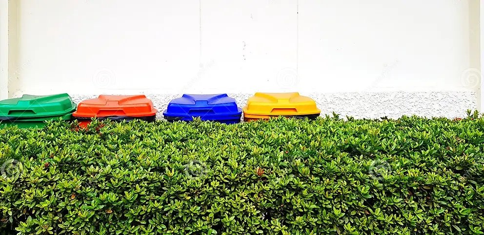 Eco-Friendly Bin Rentals in Ottawa: Go Green with Your Waste Management