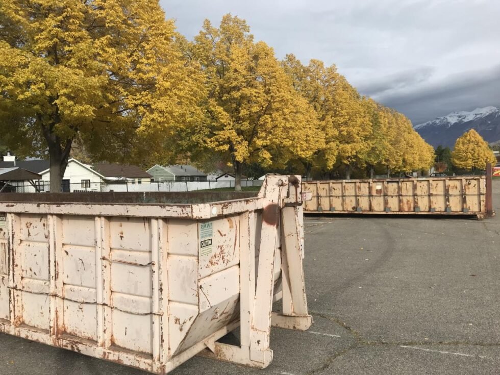 The Role of Dumpsters in Large-Scale Community Clean-Up Events - Ottawa ...